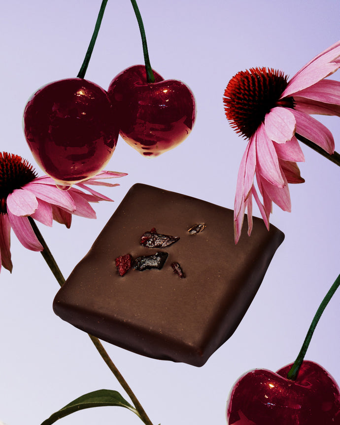 Healthy French Chocolate and Wellness Goods 🌈 – COSMIC DEALER