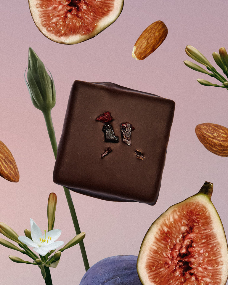 Healthy French Chocolate and Wellness Goods 🌈 – COSMIC DEALER